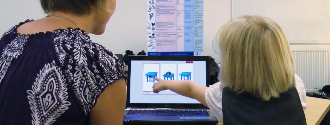 Language Link: Supporting Language in the Classroom