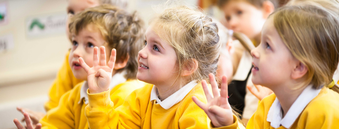 School Entry Assessment - Speech and Language Link